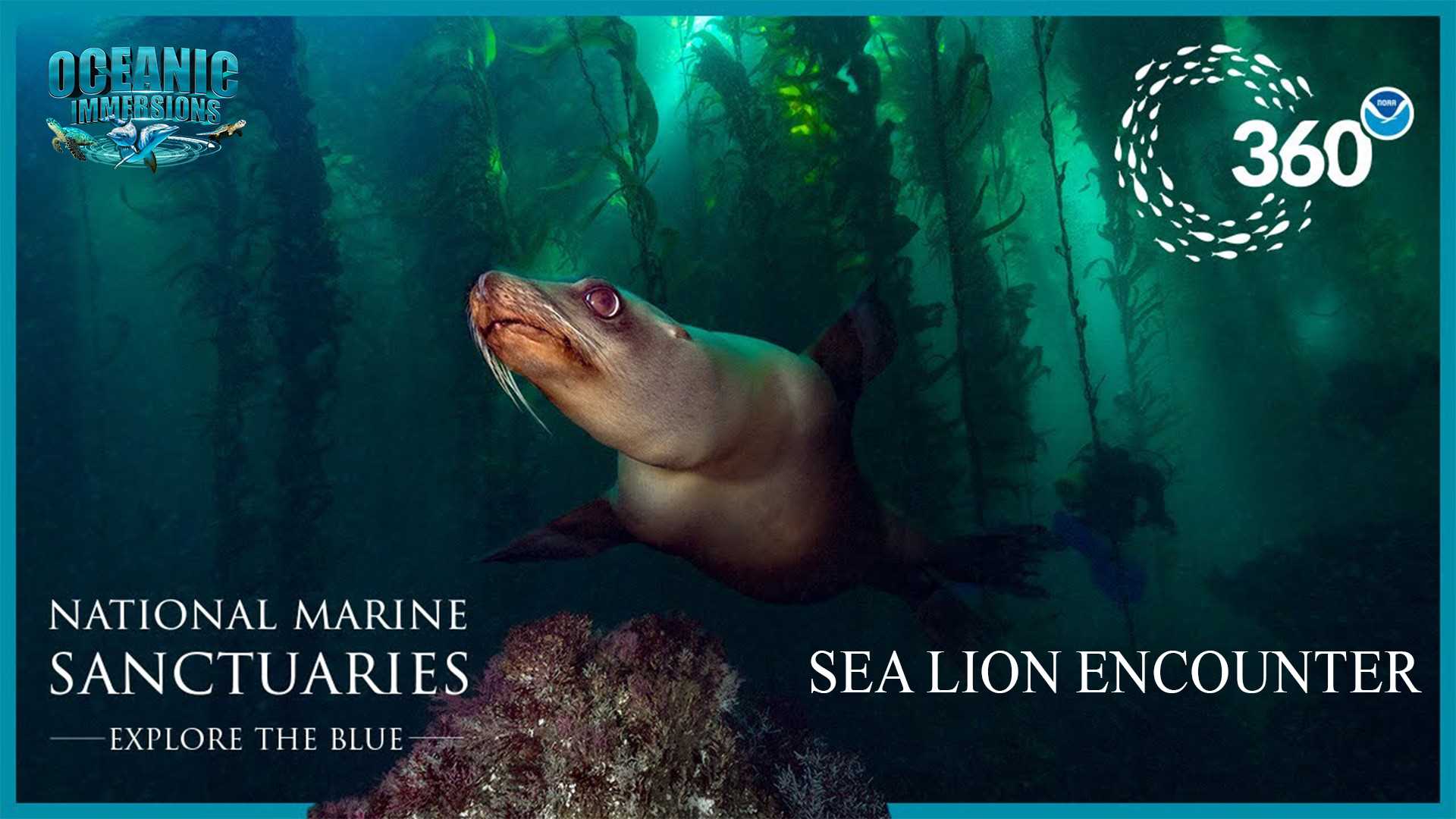 Explore the blue - VueXR